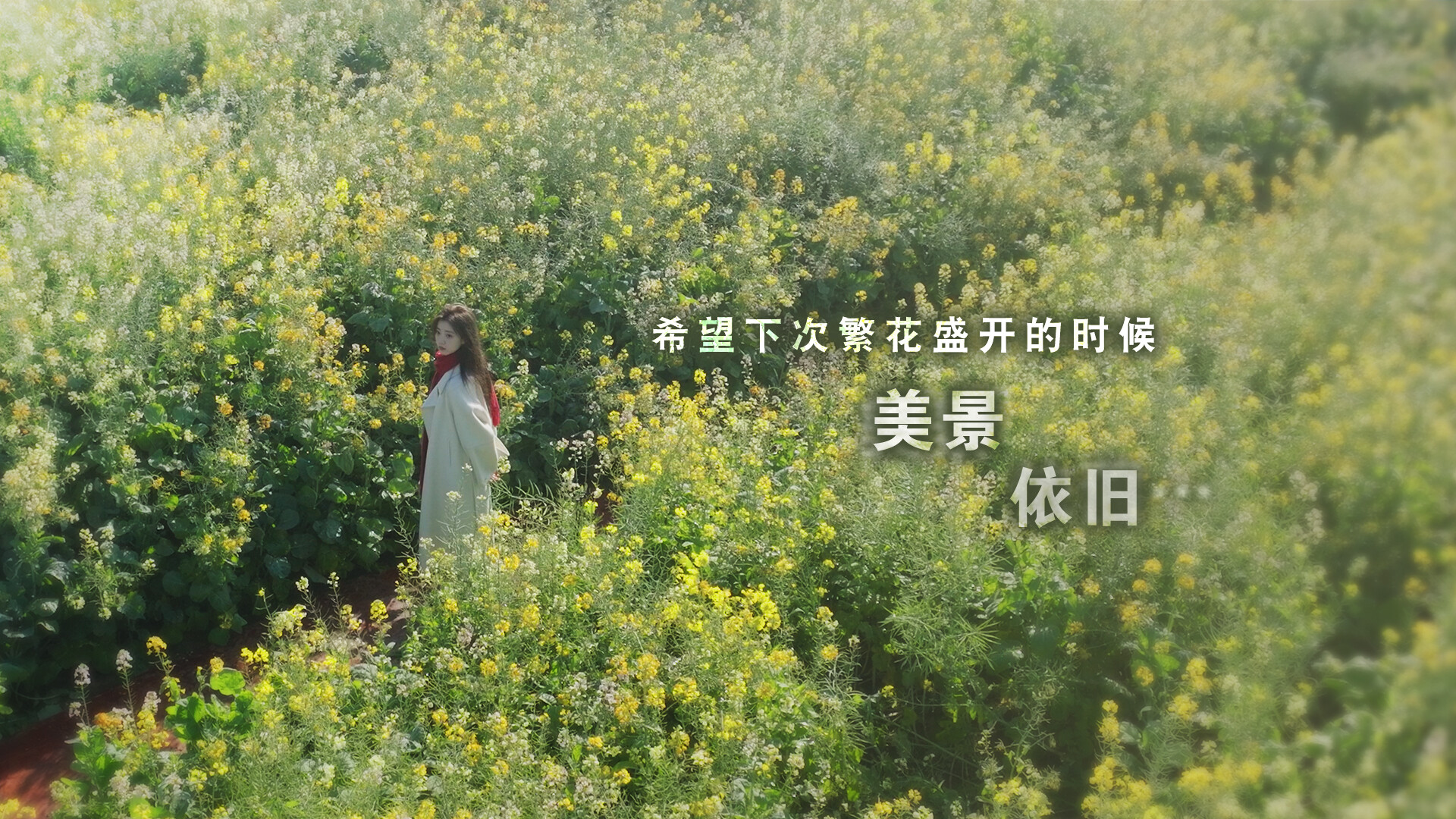 《这个是真的喜欢!ive Fallen For You》build 16100067中文免安装硬盘版 Switch618游戏公益分享